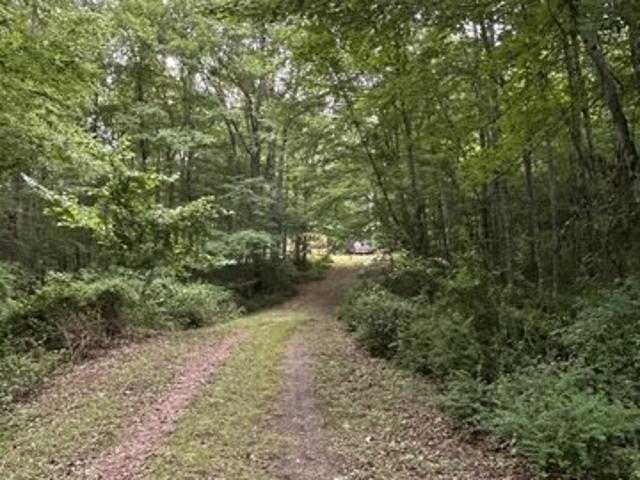 Salt Rock Rd, Sprague, Plot For Sale