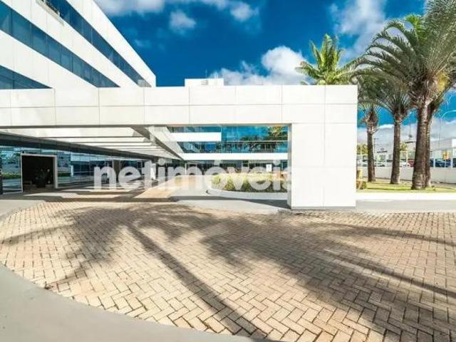 Sala Comercial Reformada | 31,76m² | Bem Ventilada | SGAN 915
