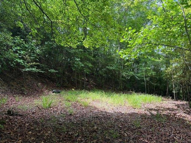 Saldeer Mtn Est Lot 15, Franklin, NC 28734