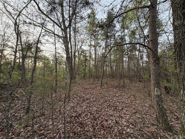 Salem Rd, Centerville, TN 37033