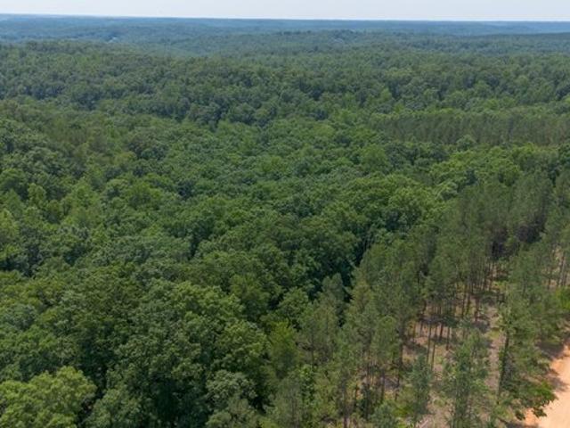 Salem Rd, Centerville, TN 37033