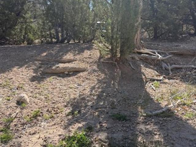 Salina, UT 84654