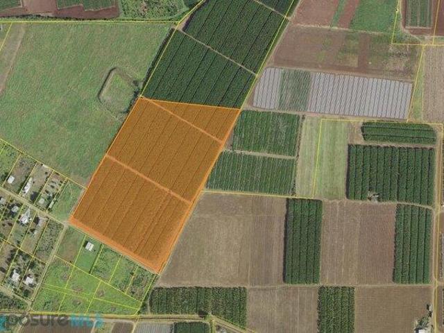 Salinas CA 00751 LS102801478