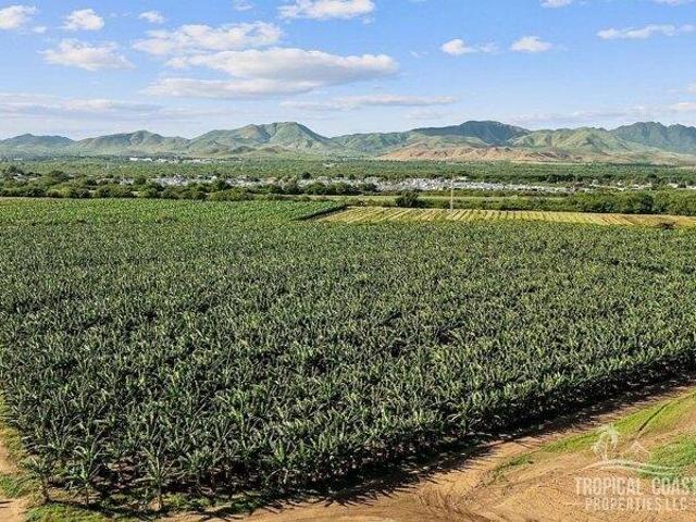 Salinas CA 00751 104512168