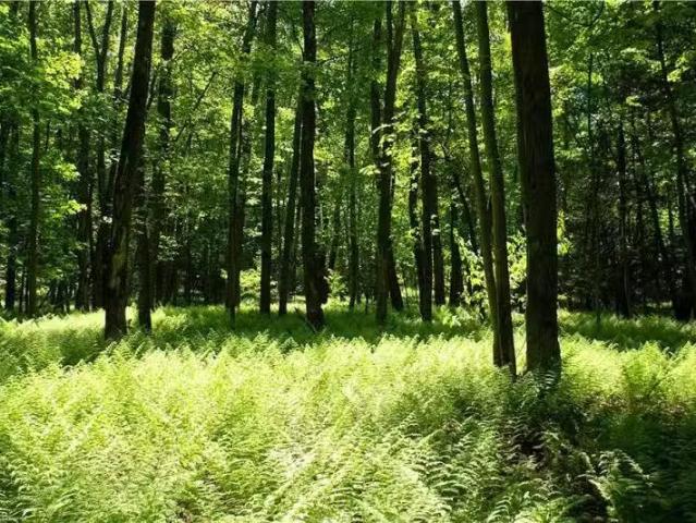 Salisbury, LEXINGTON, NC 27292