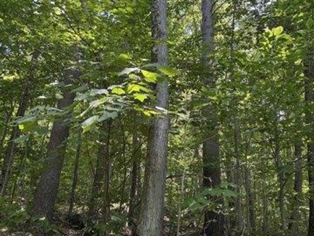 Salisbury VT 05769 104850797