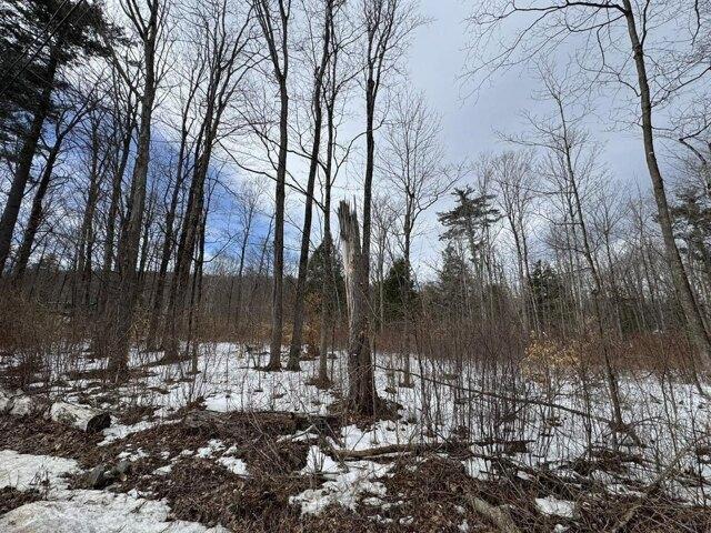 Salisbury VT 05769 LS102258832