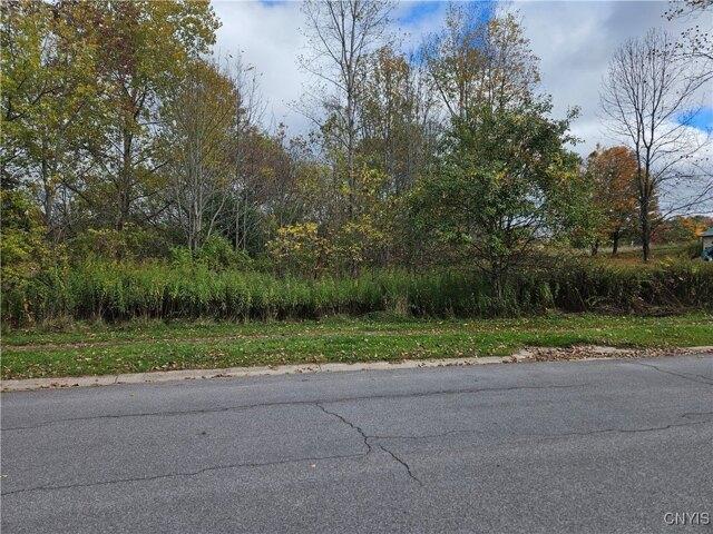 Salmon Meadow Ln, Pulaski, Plot For Sale