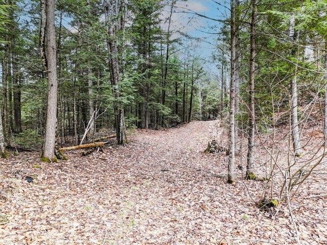 Salmon Rd, Madison, Plot For Sale