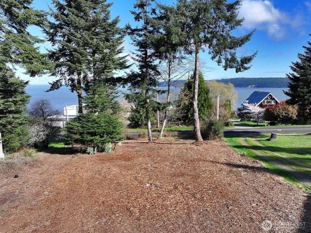 Salmonberry Rd Lots 4 & 17, Langley, WA 98260