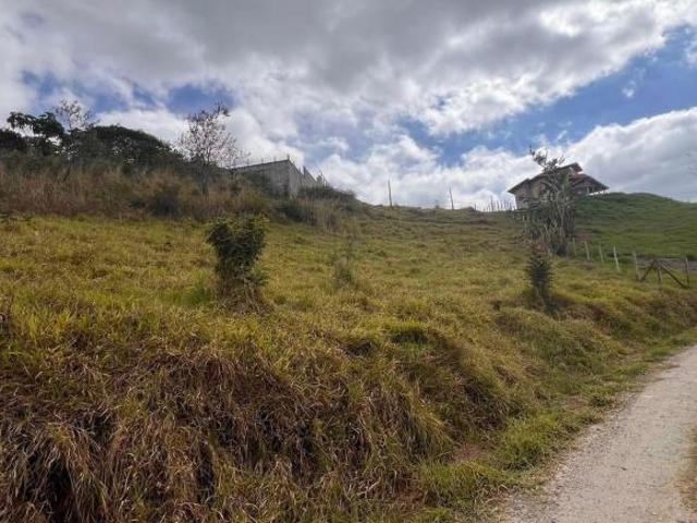 SA/LOTE A VENDA EM STA ISABEL