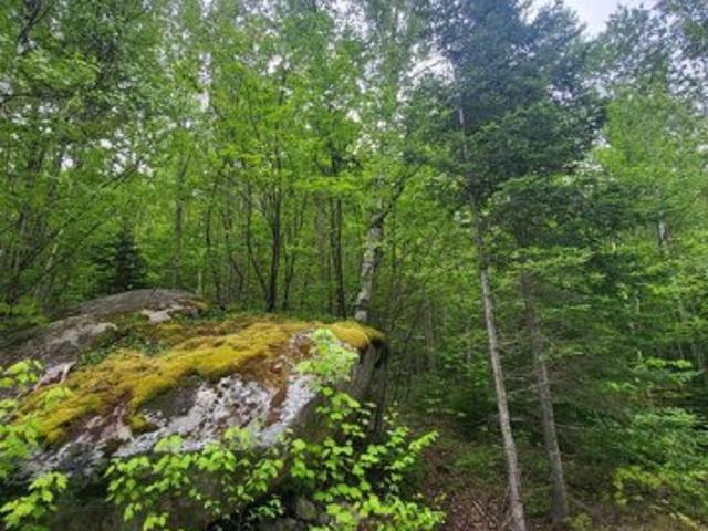 Saphire Ln, Jefferson, Plot For Sale