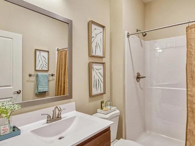 Sapphire at Centerpointe 3 Bedroom Apartment for Rent at 14250 Sapphire Park Ln, Midlothian, VA 23114