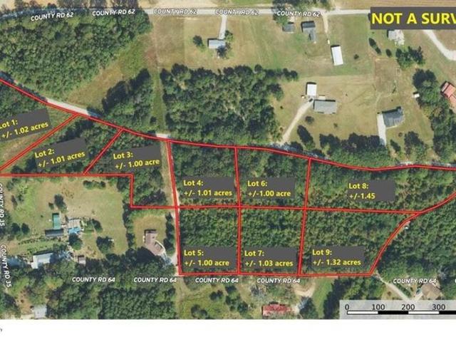 Sartain Rd Lot 8, Dennis, MS 38838