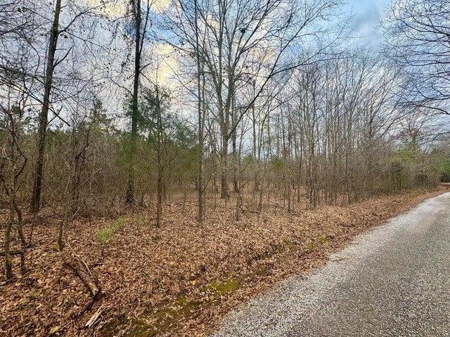 Sartain Rd Lot 8, Dennis, MS 38838