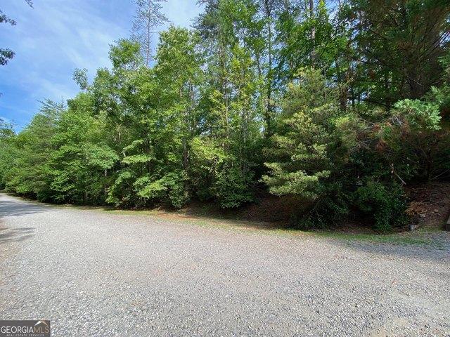 Sara Ln Lot 6, Sautee Nacoochee, GA 30571