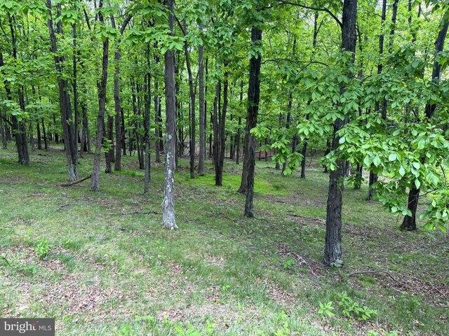 Sarah Lincoln Dr Lots 55 & 56, New Creek, WV 26743