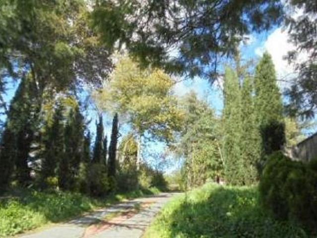 Saratoga Los Gatos Rd