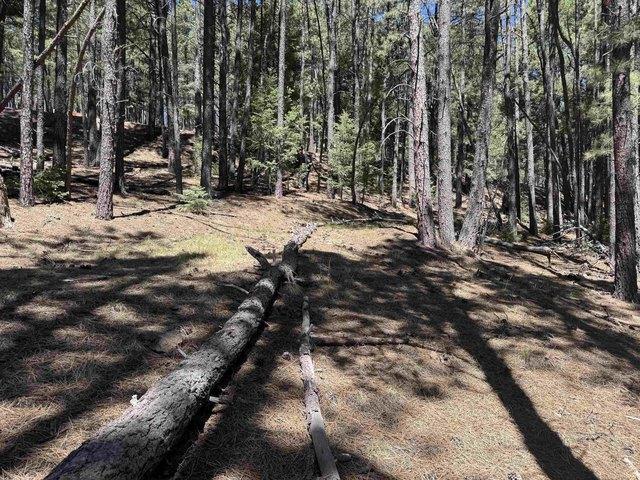 Sarazen Blk B Ter Lot 6, Angel Fire, NM 87710