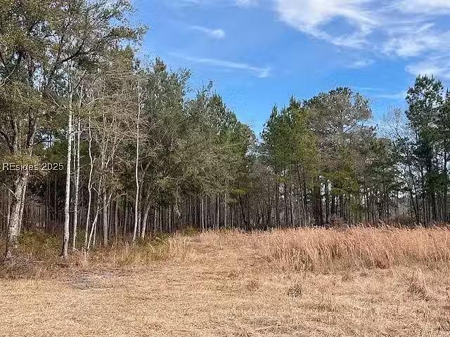 Sardis Road, Ridgeland, SC 29936