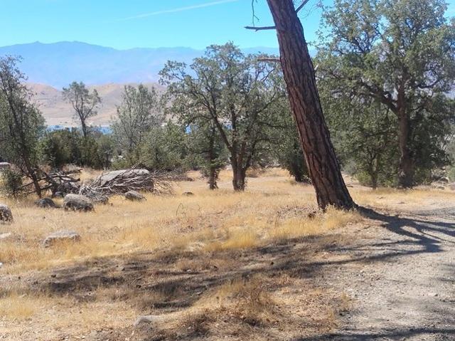 Sargent Ln, Wofford Heights, CA 93285