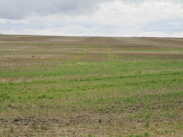 Sarles, ND 58339