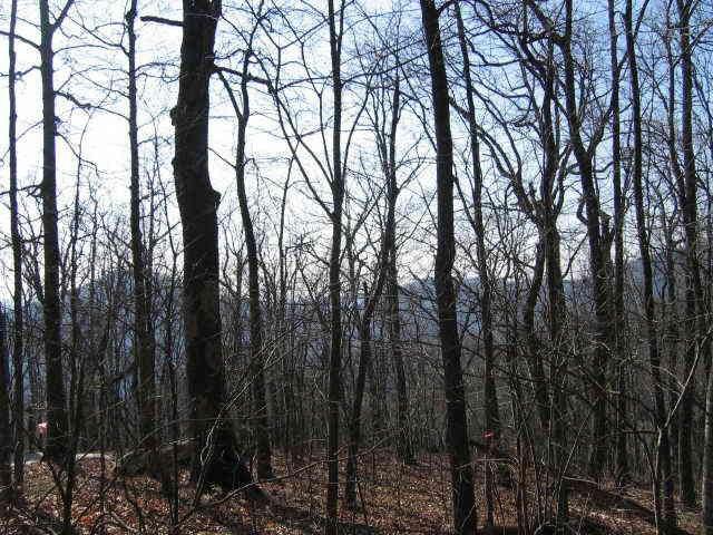 Sassafras Mountain Trl, Jasper, GA 30143