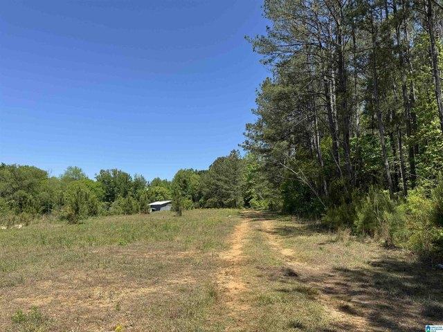 Satterwhite 75 Acres St Lot 11, Roanoke, AL 36274