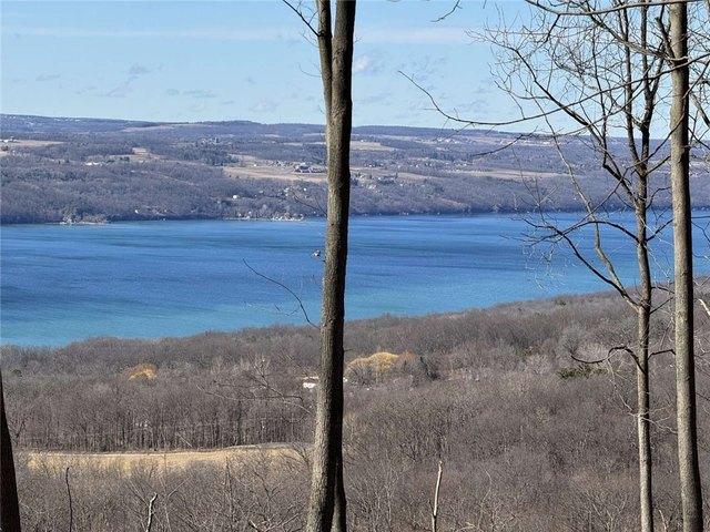 Satterly Hill Rd, Burdett, NY 14818