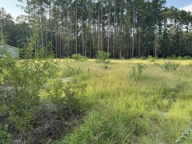 Saturn, Walterboro, SC 29488