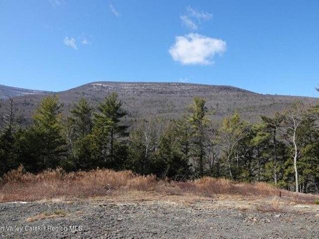Saugerties NY 12477 104904975