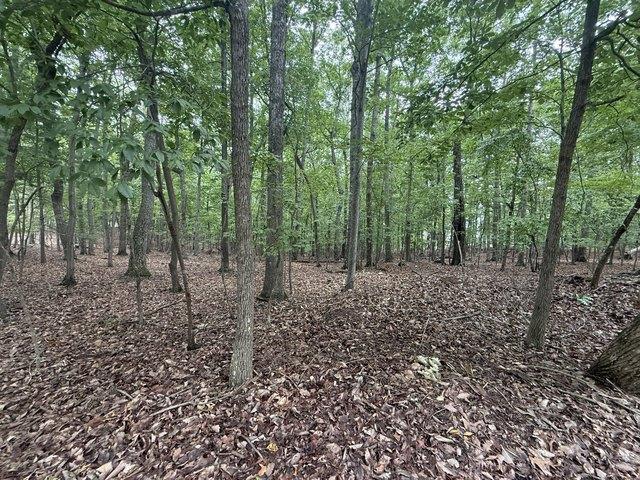 Saunders Point Rd Lot 18, Huddleston, VA 24104