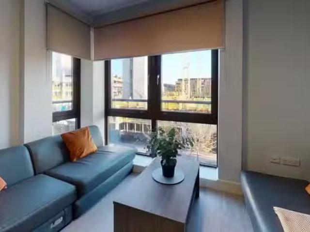 Saver Studio