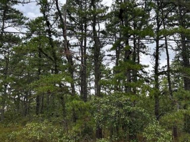 Savoy Blvd, Chatsworth, Plot For Sale