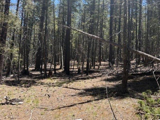 Sawyer Mesa Rd, Pecos, NM 87552