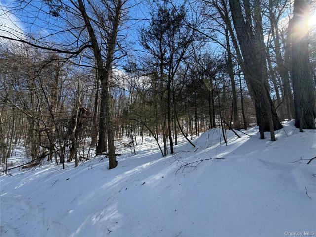Saw Mill Road