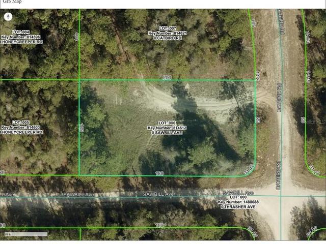 Sawbill Ave, Weeki Wachee, FL 34614