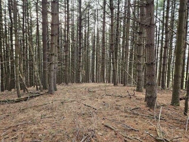 Sawmill Hill Rd, Willis, VA 24380