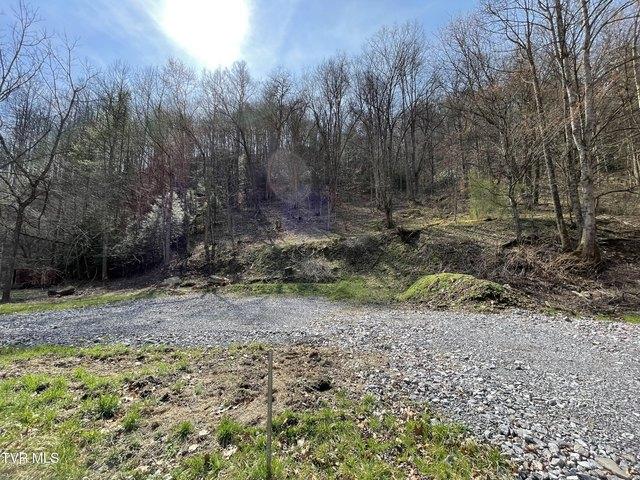 Sawmill Hollow Rd, Dante, VA 24237