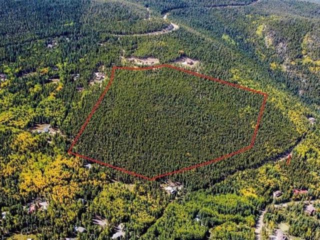 Sawmill Ln, Idaho Springs, CO 80452