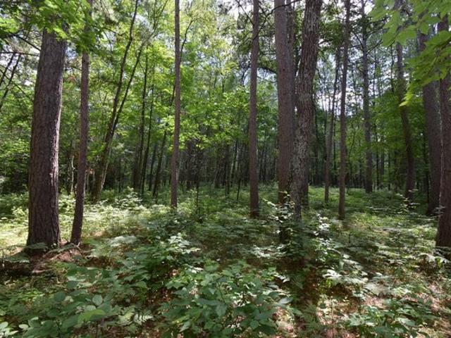 Saylors Ln Lot 2, Siren, WI 54872