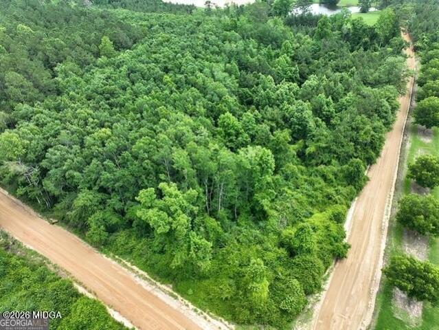 Sgt Lonnie Ln, Metter, GA