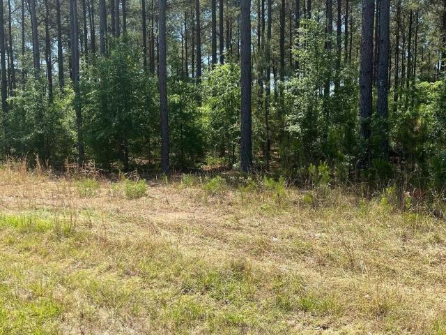 SDA 1 Salley Road Lot SDA 1