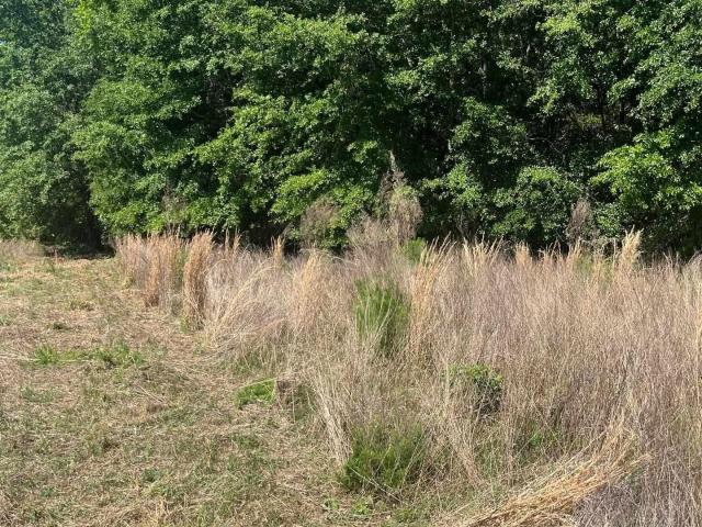SDA 7 Salley Road Lot SDA 7