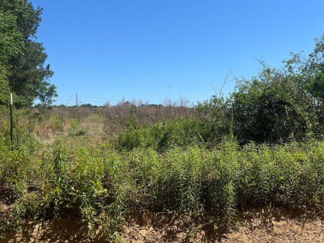 SDA 5 Salley Road Lot SDA 5