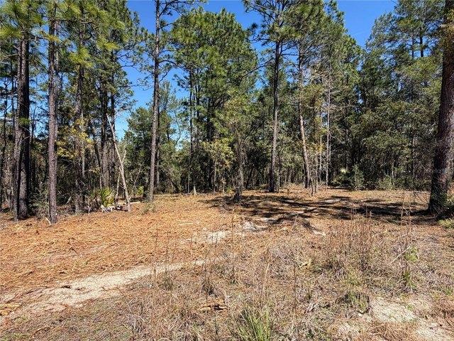 SE 58th Pl, Morriston, FL 32668