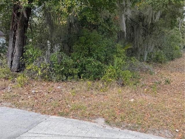 SE 65th Ave, Hawthorne, FL 32640 | MLS #GC537746