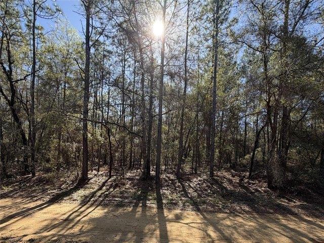 SE 7th Ave, Interlachen, FL 32148