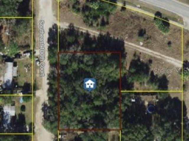 SE 100 Ct, Summerfield, FL 34491