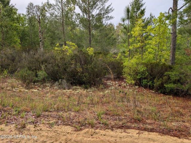 SE 10th St Lot 34, Interlachen, FL 32148
